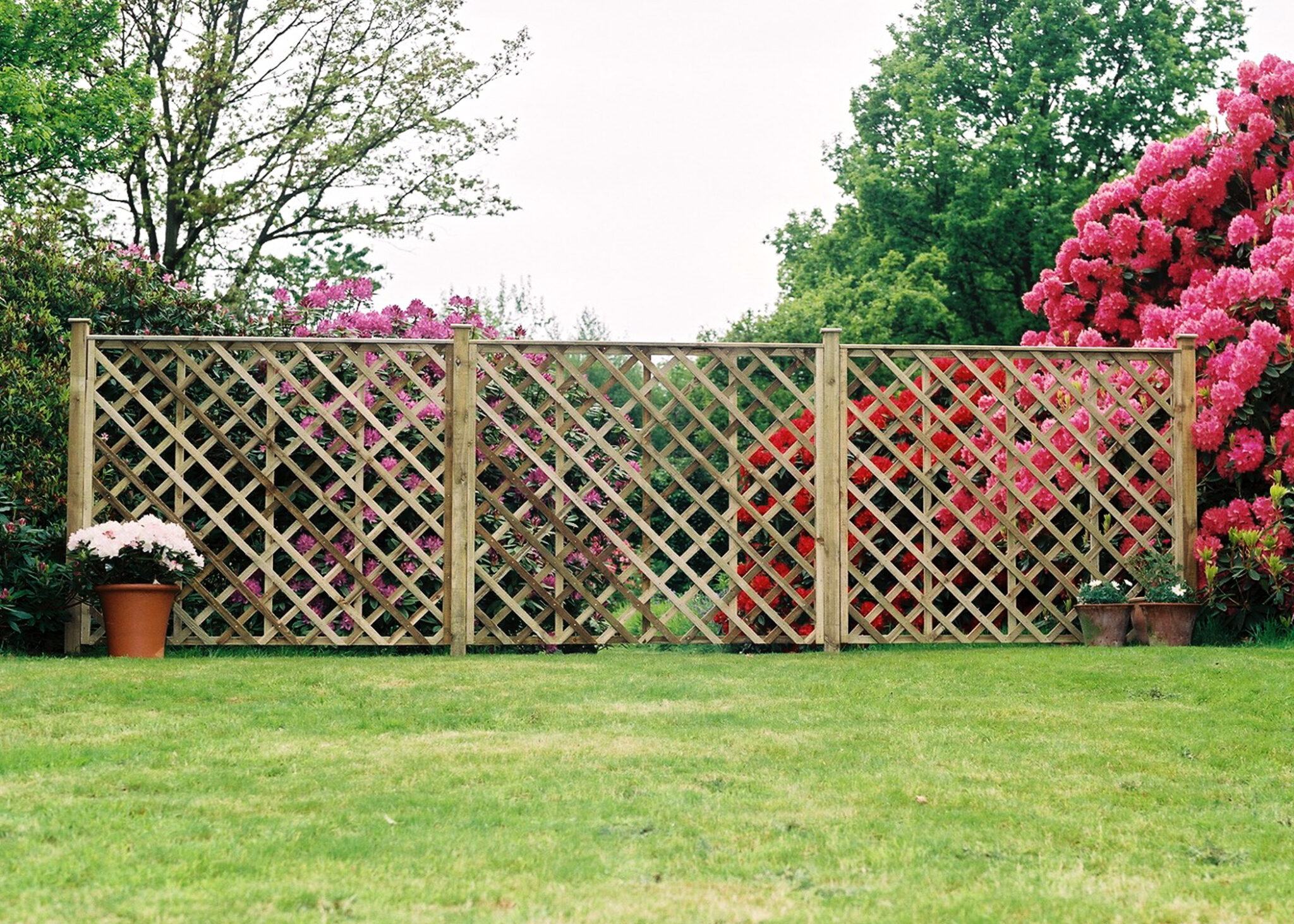 Wooden Trellis Panels s - Duncombe Sawmill, local and UK delivery from ...